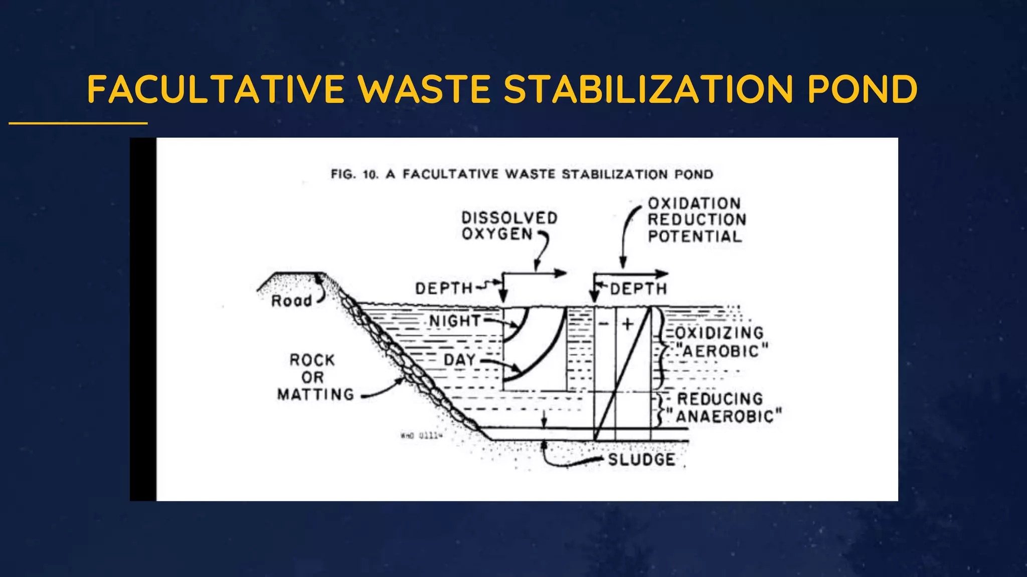 waste stabilization ponds | PPTX