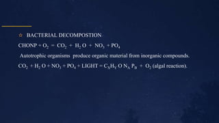 waste stabilization ponds | PPTX