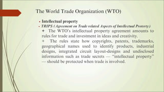 Introduction to: International Trade Policy | PDF