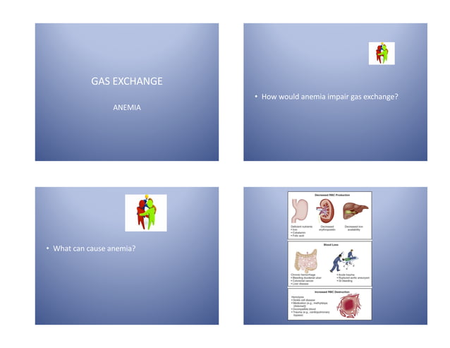 Anemia Powerpoint 2015 with notes and descriptions | PDF