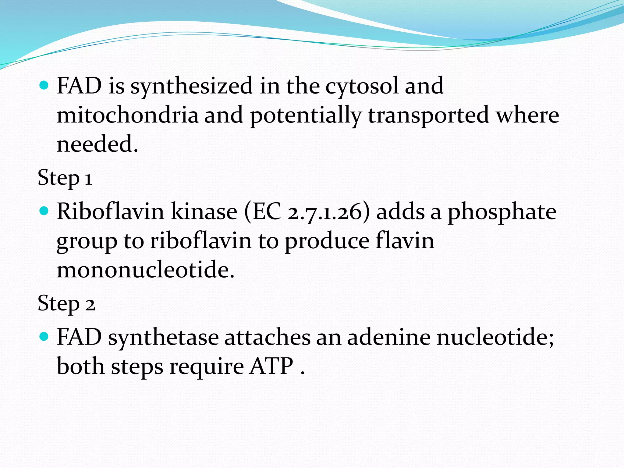 Fad – Flavin Adenine Dinucleotide | PPTX