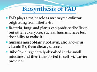 Fad – Flavin Adenine Dinucleotide | PPTX