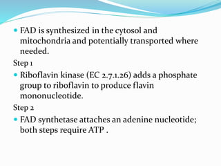 Fad – Flavin Adenine Dinucleotide | PPTX