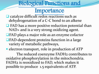 Fad – Flavin Adenine Dinucleotide | PPTX