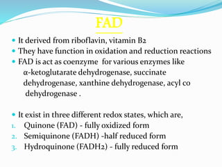 Fad – Flavin Adenine Dinucleotide | PPTX