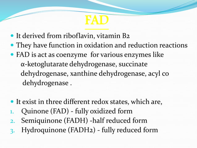 Fad – Flavin Adenine Dinucleotide | PPTX | Chemistry | Science