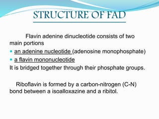 Fad Structure