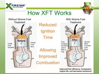Syntek-Global-Presentation | PPT
