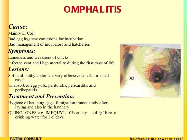 Fadama poultry management plus obj
