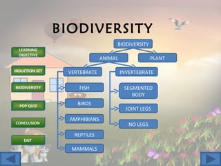 BIODIVERSITY | PPS