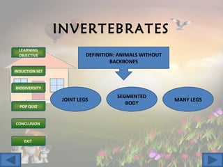 Biodiversity- Science | PPS
