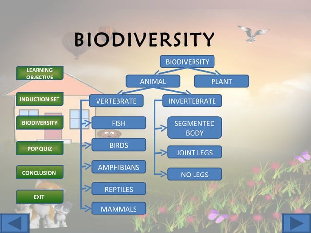 Biodiversity- Science | PPT