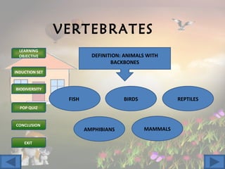 Biodiversity- Science | PPS