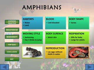 Biodiversity- Science | PPS