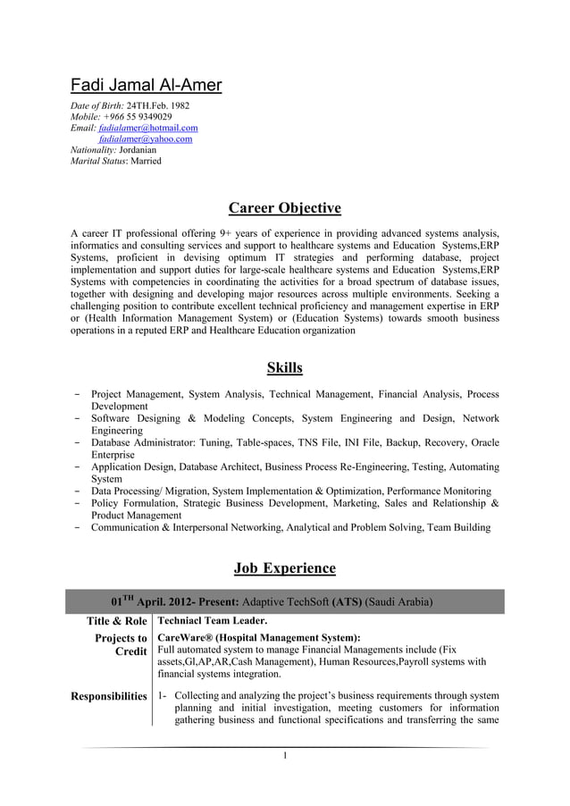 Fadi amer cv | PDF