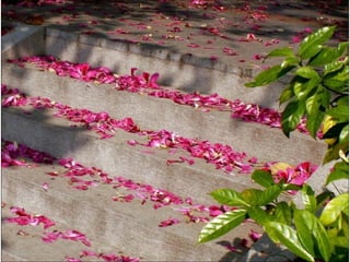 Fading Flowers | PPT