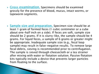 Faecal examination | PPTX