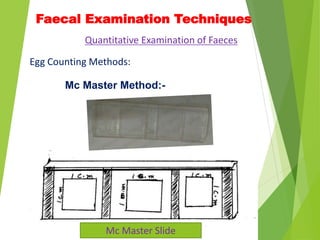 Faecal_Examination_Techniques_-II__Practical_.pptx