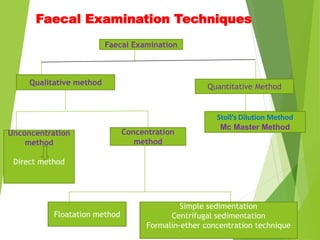 Faecal_Examination_Techniques_-II__Practical_.pptx