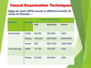 Faecal_Examination_Techniques_-II__Practical_.pptx
