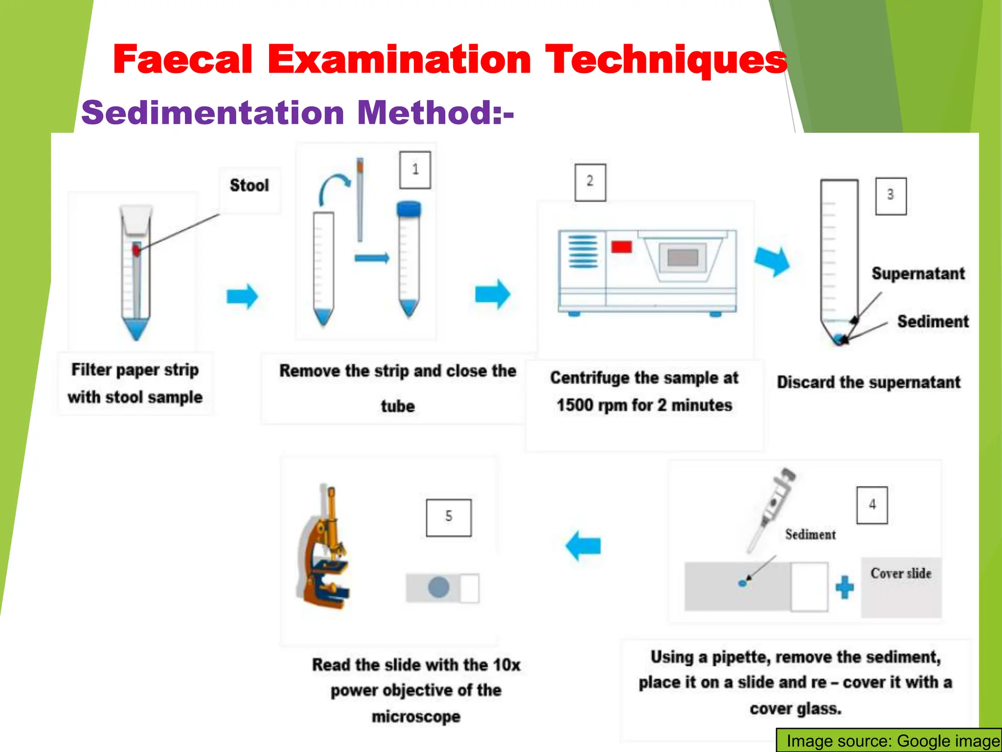 Faecal_Examination_Techniques_-II__Practical_.pptx
