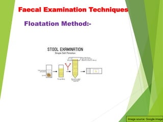 Faecal_Examination_Techniques_-II__Practical_.pptx