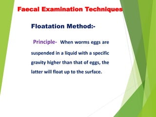 Faecal_Examination_Techniques_-II__Practical_.pptx