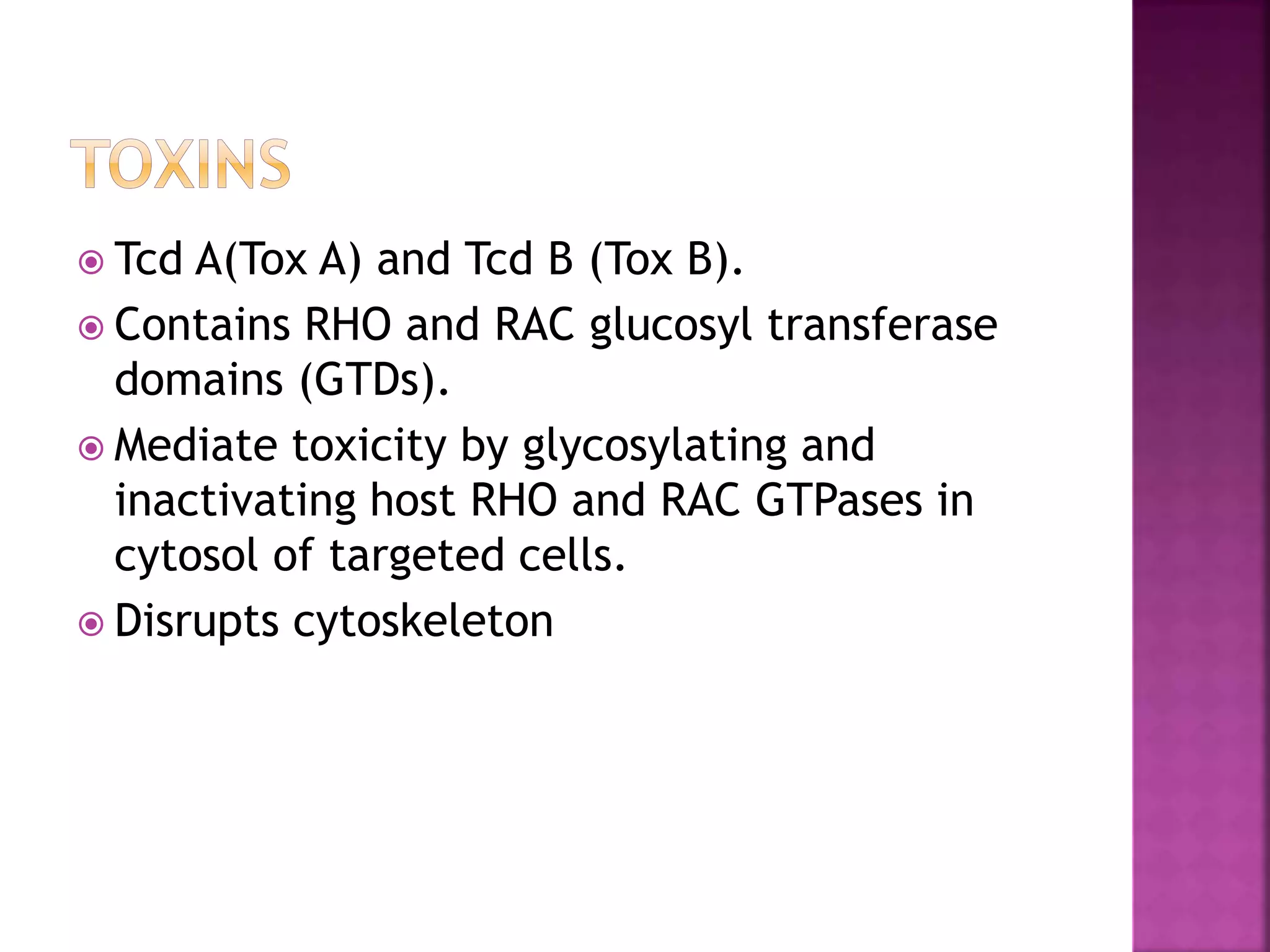 Faecal microbiota transplantation | PPTX