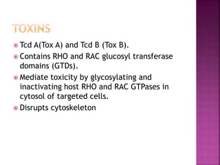 Faecal microbiota transplantation | PPTX