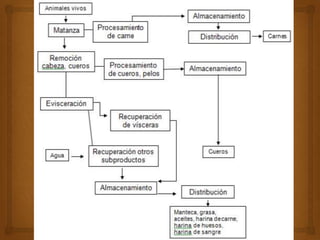 Proceso de Faenado en bovinos | PPTX
