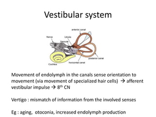 Approach to Dizziness and Vertigo in Emergency Department | PPTX