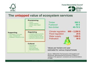 ForCES – Forest Certification for Ecosystem Services - A groundbreaking ...