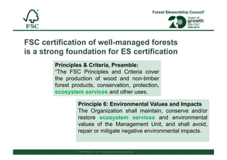 ForCES – Forest Certification for Ecosystem Services - A groundbreaking ...