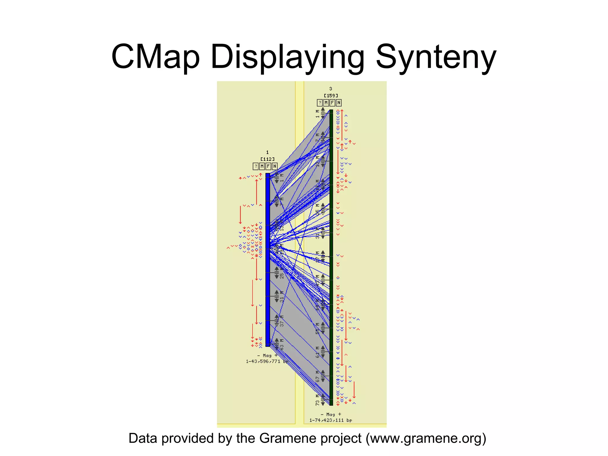 Faga C Map Bosc2008 | PPT | Genetics | Science