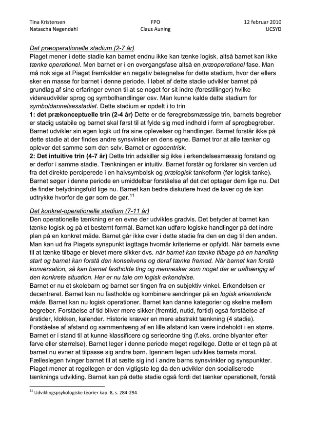 Faglig PæDagogisk Opgave Tnt | PDF