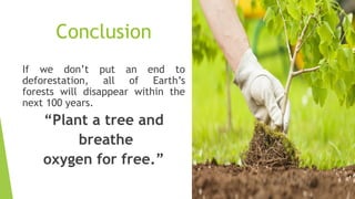 Deforestation.pptx