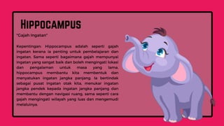 Fahami otak dan bahagian serta fungsinya | PPTX