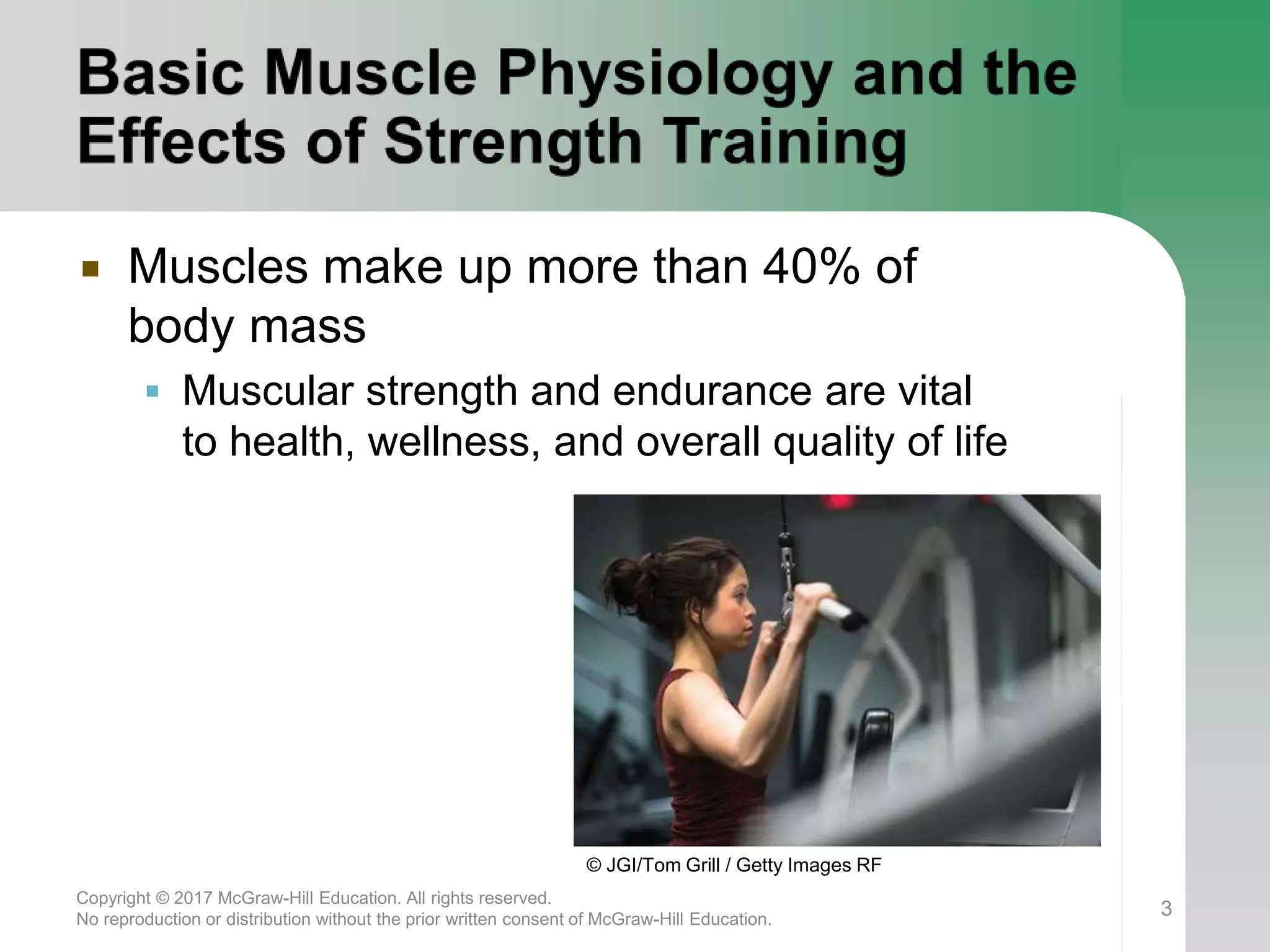 FW190 Muscular Strength and Endurance | PPTX