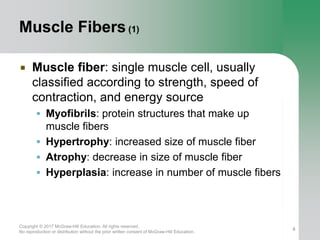 FW190 Muscular Strength and Endurance | PPT