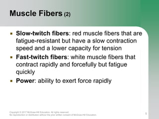FW190 Muscular Strength and Endurance | PPTX