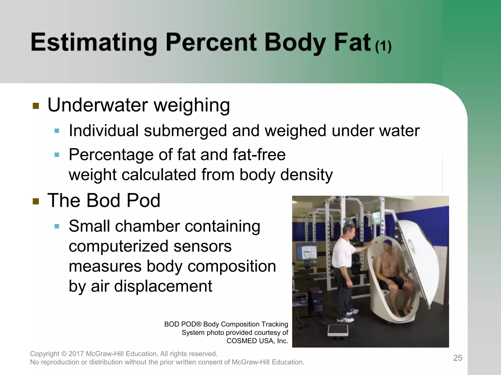 FW190 Body Composition | PPTX
