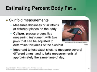 FW190 Body Composition | PPTX
