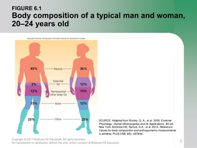 Human Body Composition Chart Ultimate Human Anatomy (Rigged)