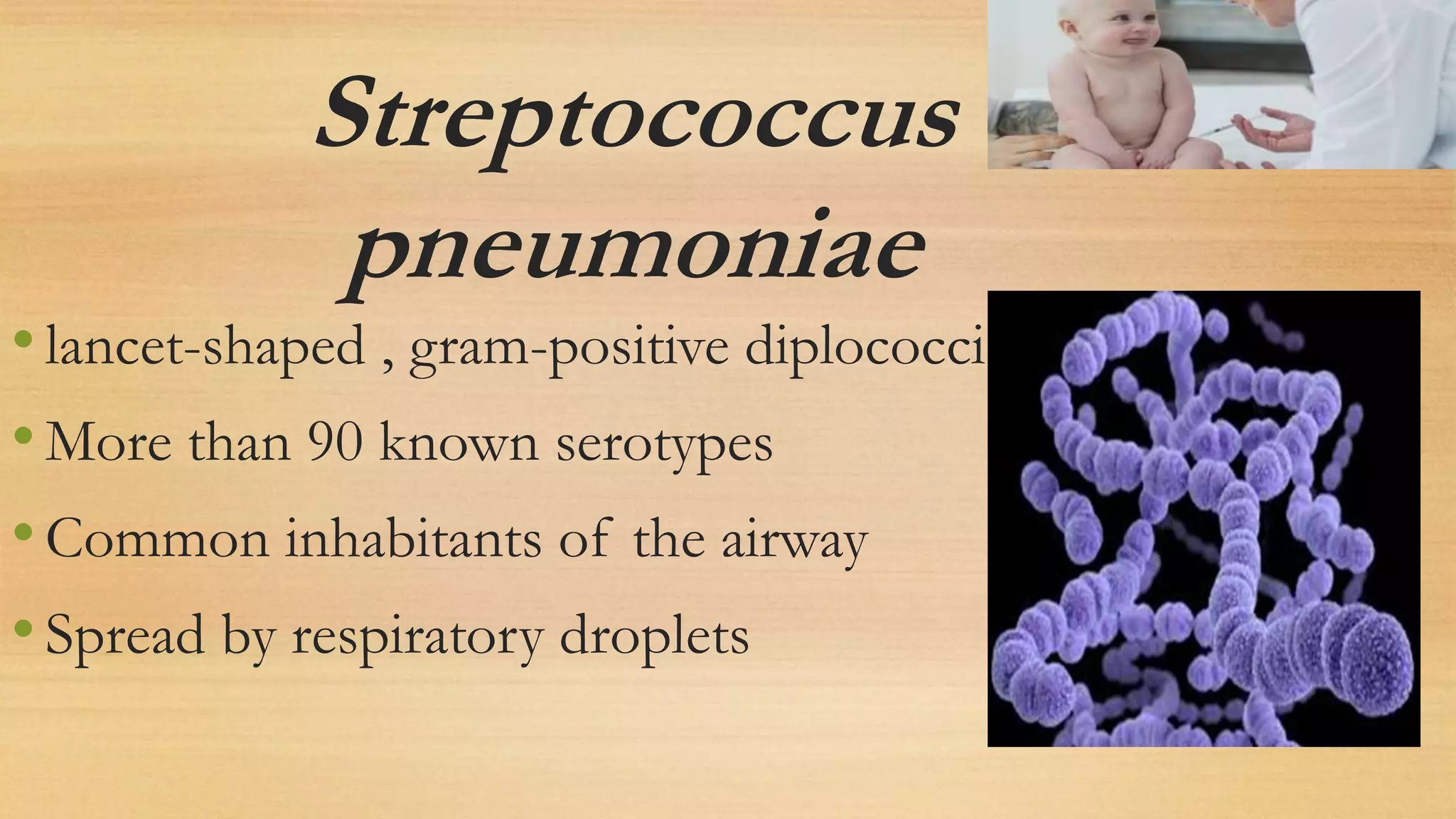 Pneumococcal and Influenza vaccine guideline | PPT