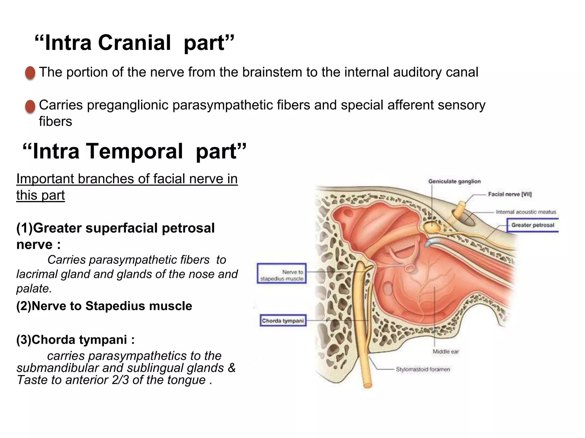 Facial nerve injuries symptoms, treatment | PPTX