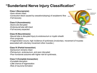 Facial nerve injuries symptoms, treatment | PPTX