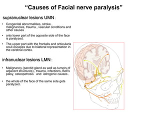 Facial nerve injuries symptoms, treatment | PPTX