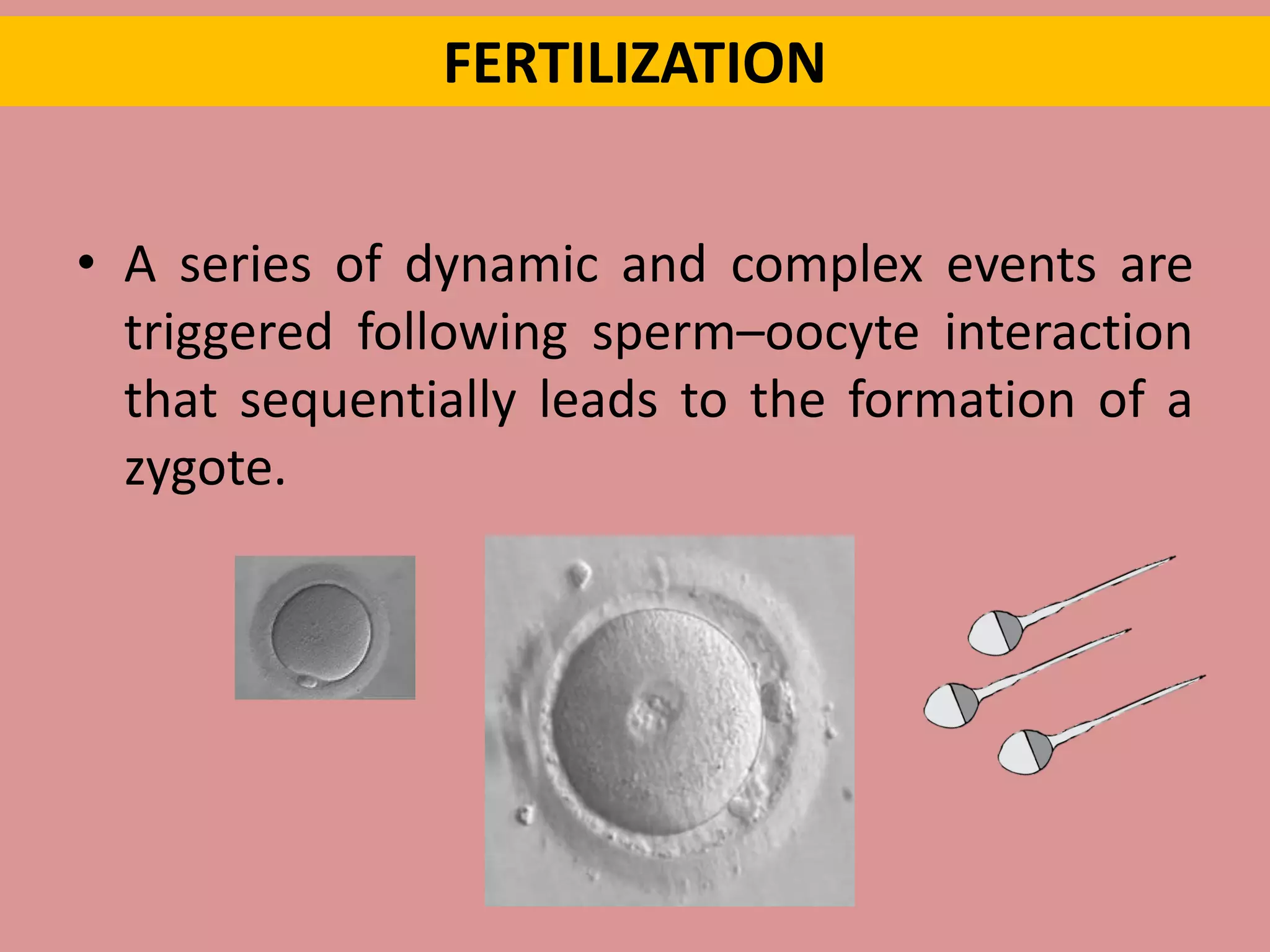 FAILED OR ABNORMAL FERTILIZATION.pptx