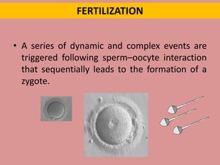 FAILED OR ABNORMAL FERTILIZATION.pptx