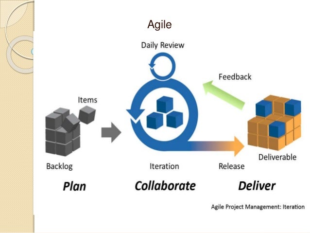 Fail Fast to be Agile - Sreedhar Dakshinamurthy
